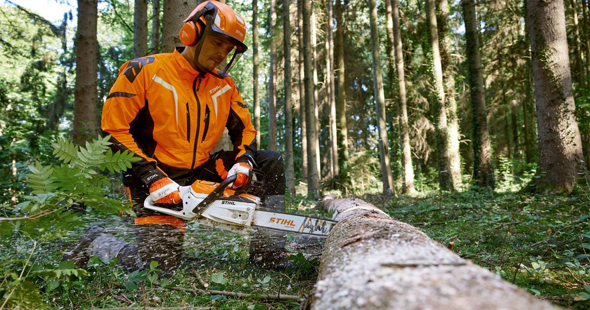 Motorsägenschein | Stavermann
